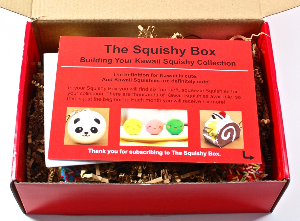 The Squishy Box December 2015 Review - 2 Little Rosebuds