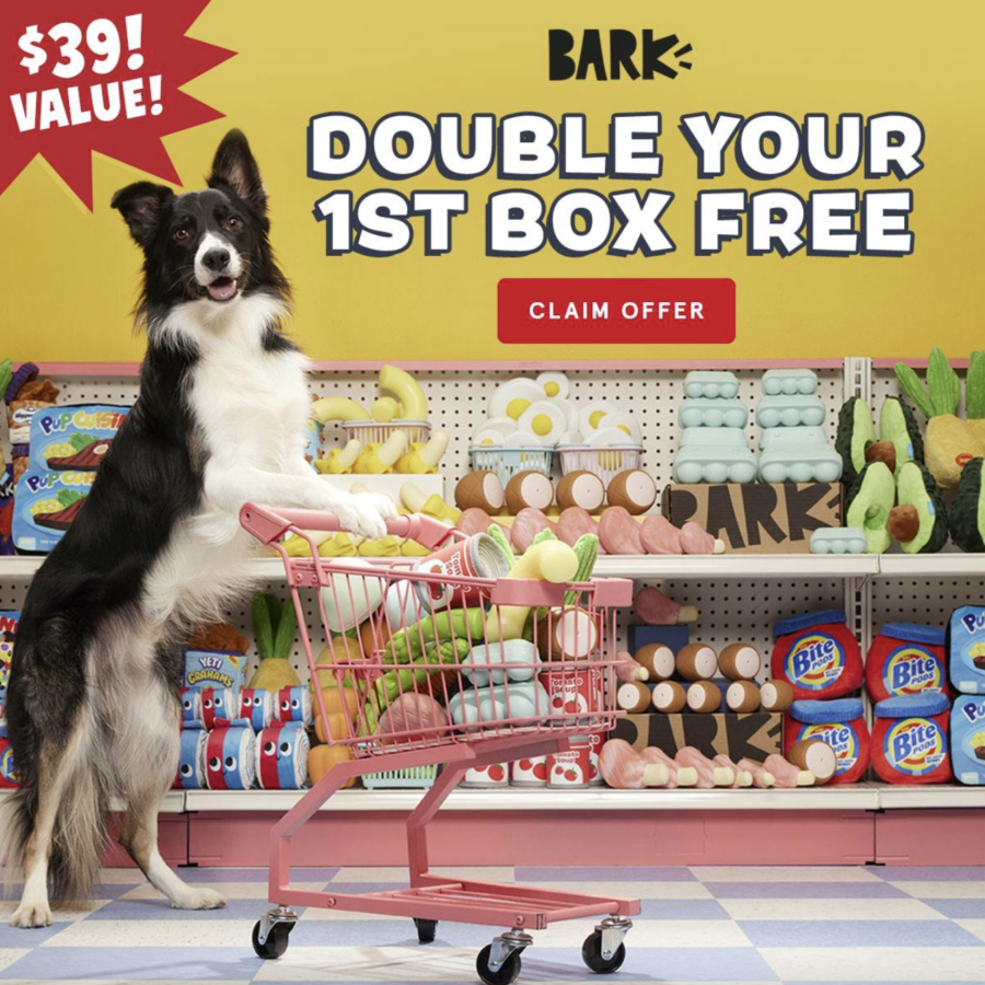 BarkBox March 2024 Coupon – Double Your First Box for FREE! - 2 Little ...