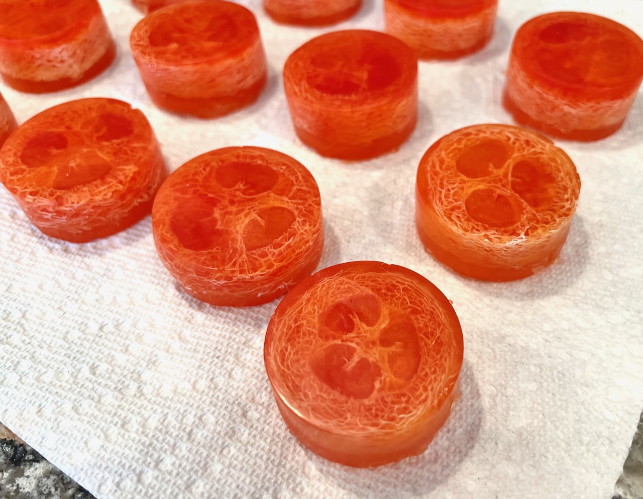 Simply Earth DIY Loofah Melt & Pour Soap Kit Review - 2 Little Rosebuds