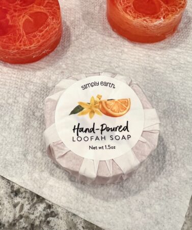 Simply Earth DIY Loofah Melt & Pour Soap Kit Review - 2 Little Rosebuds