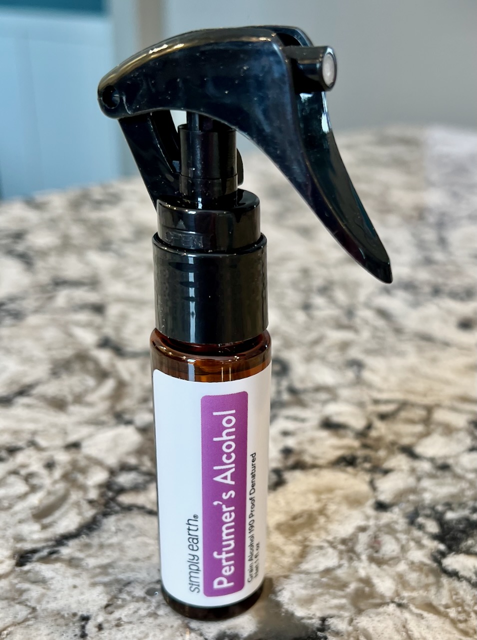 Simply Earth DIY Loofah Melt & Pour Soap Kit Review - 2 Little Rosebuds